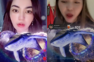 Begini Harga Gift TikTok Paus, Lengkap Gift Lain Apabila di Rupiahkan ...